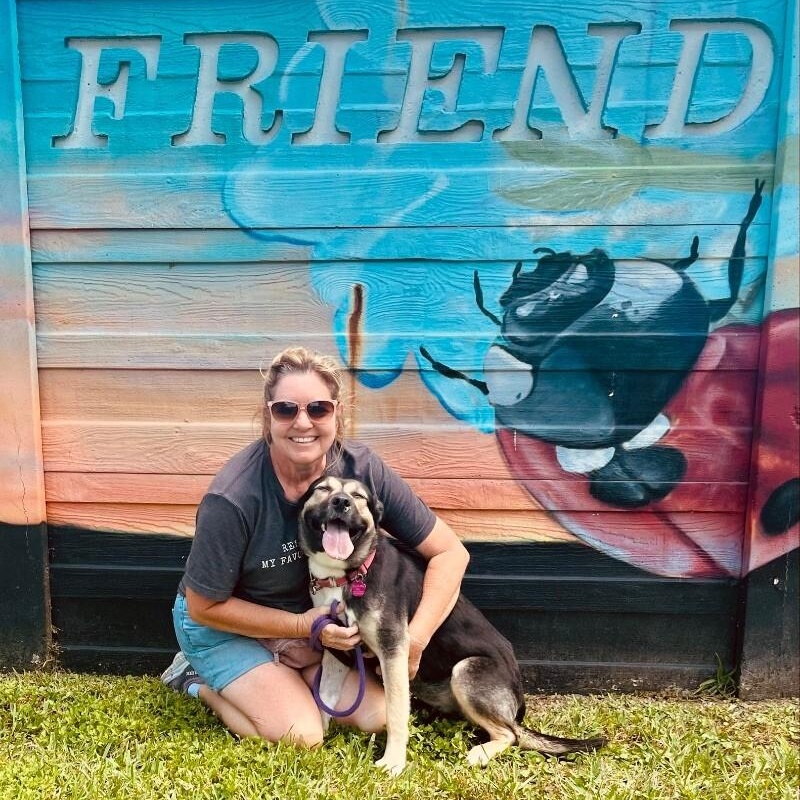 Dog for adoption - Shelly Seashells the Sweet Kid Friendly Snugglepup ...