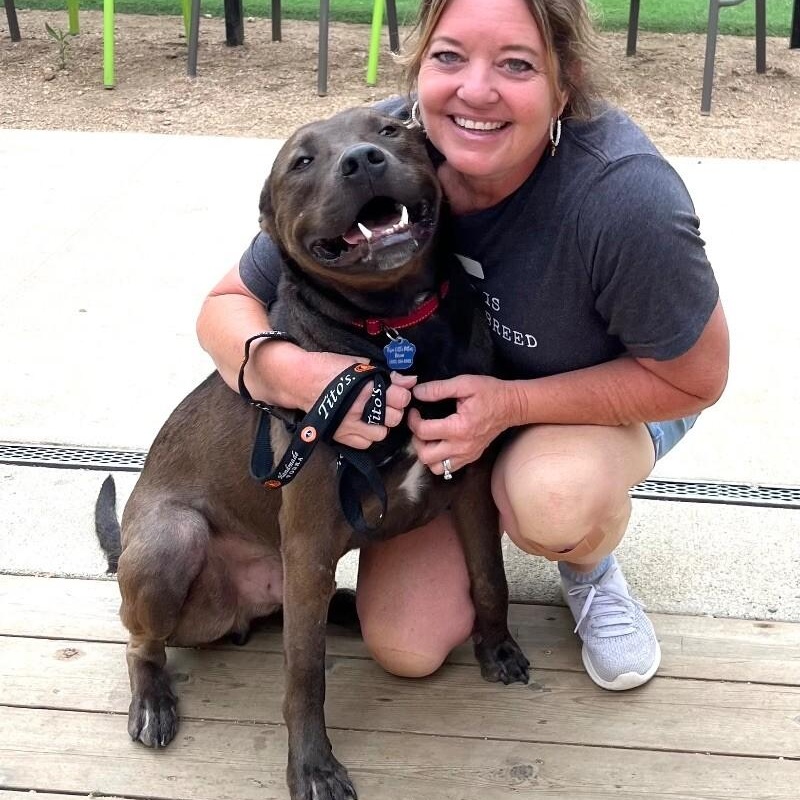 Dog for adoption - Poo-Ka Nacua Wants to Love You, an American ...
